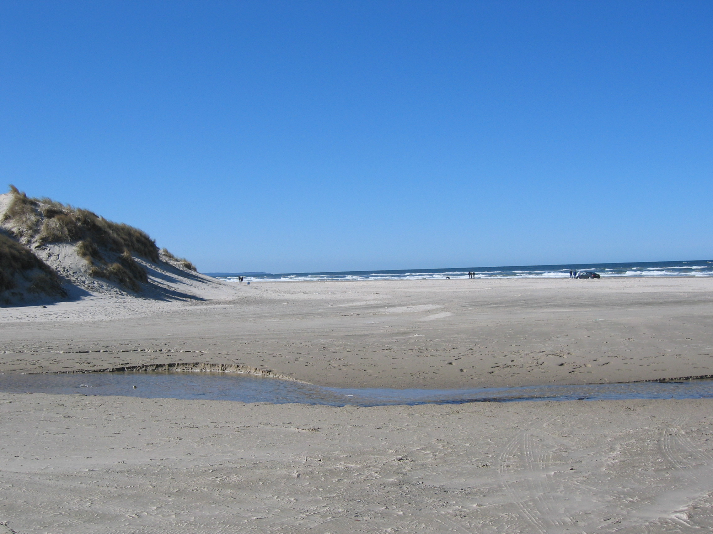 Saltum Strand
